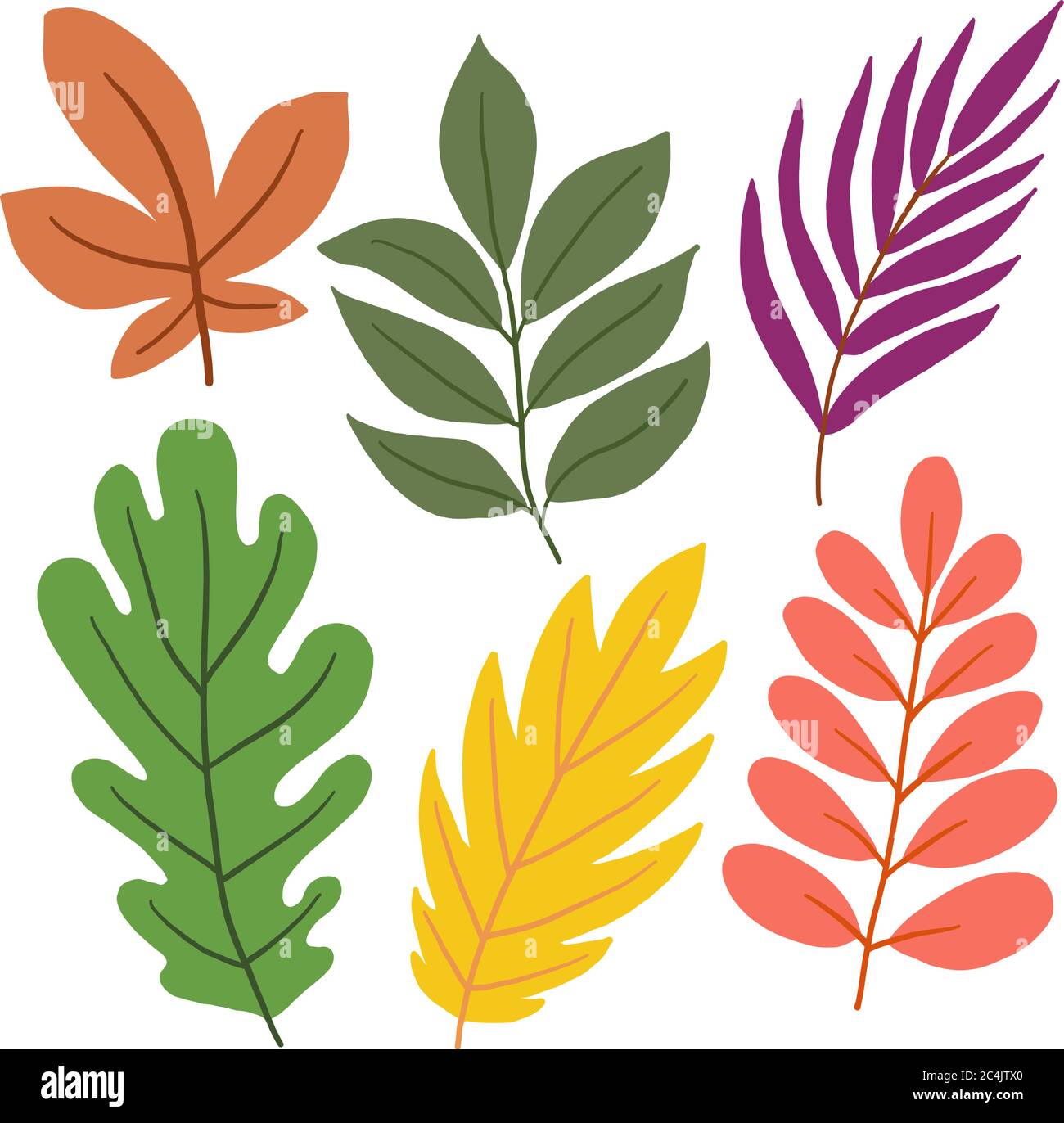 Set of colorful leaves on a white background in vector graphics. For ...