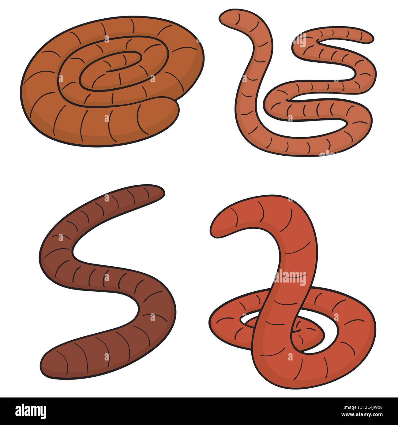 vector set of worm Stock Vector Image & Art - Alamy