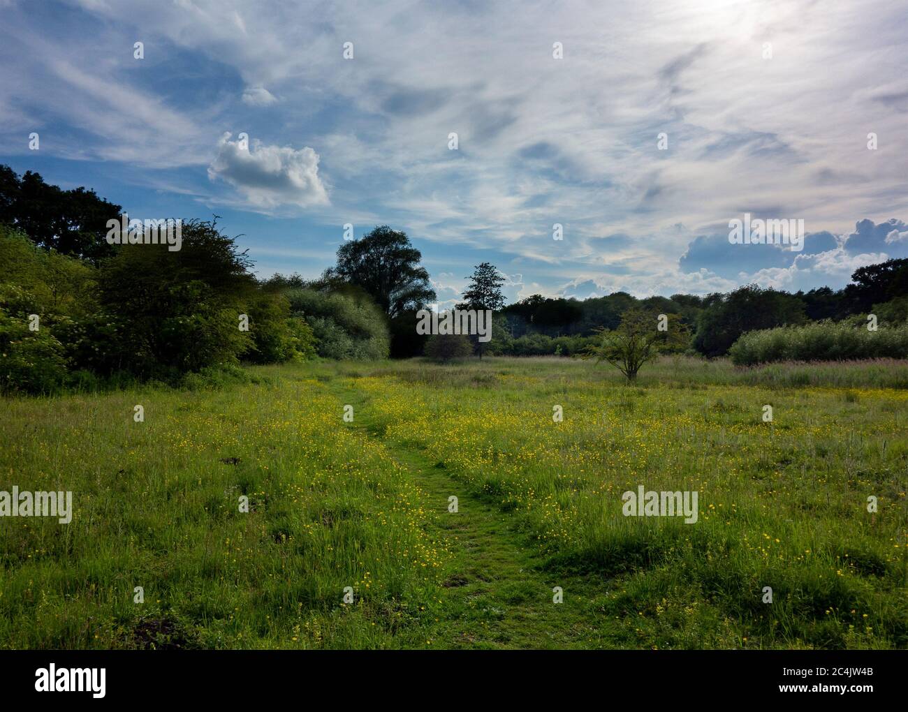 Swardeston hi-res stock photography and images - Alamy