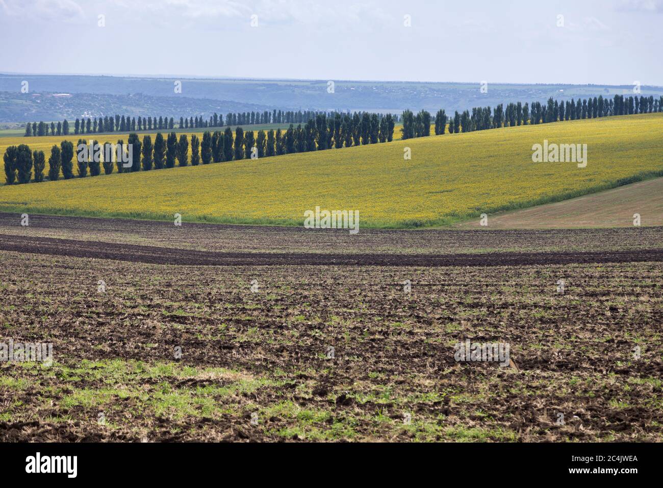 Soil like texture hi-res stock photography and images - Alamy