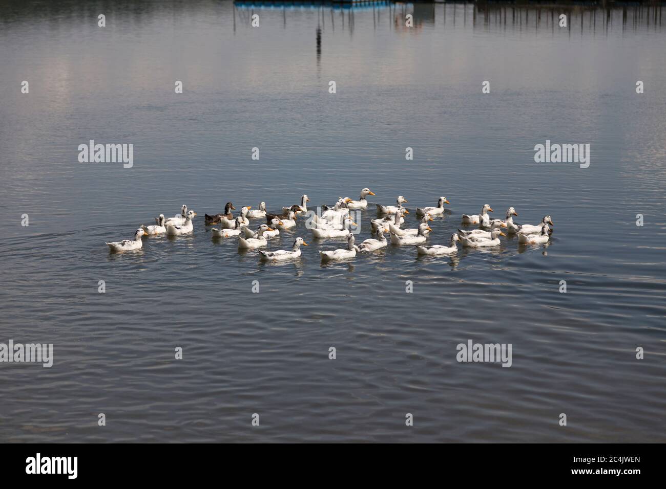 Nistru moldova hi-res stock photography and images - Alamy