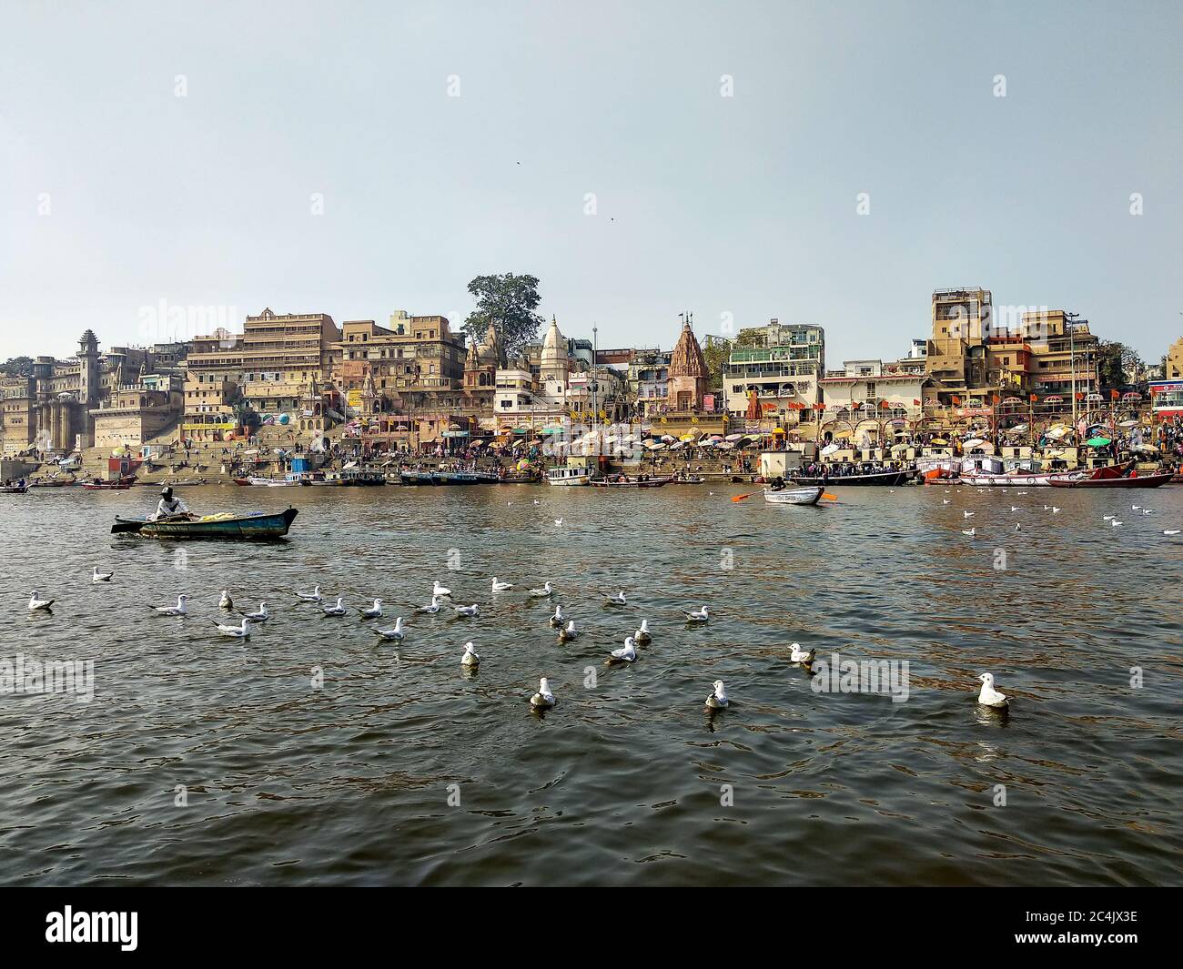 Dashashwamedh Ghat, River Ganges, Varanasi, Uttar Pradesh, India; a ...