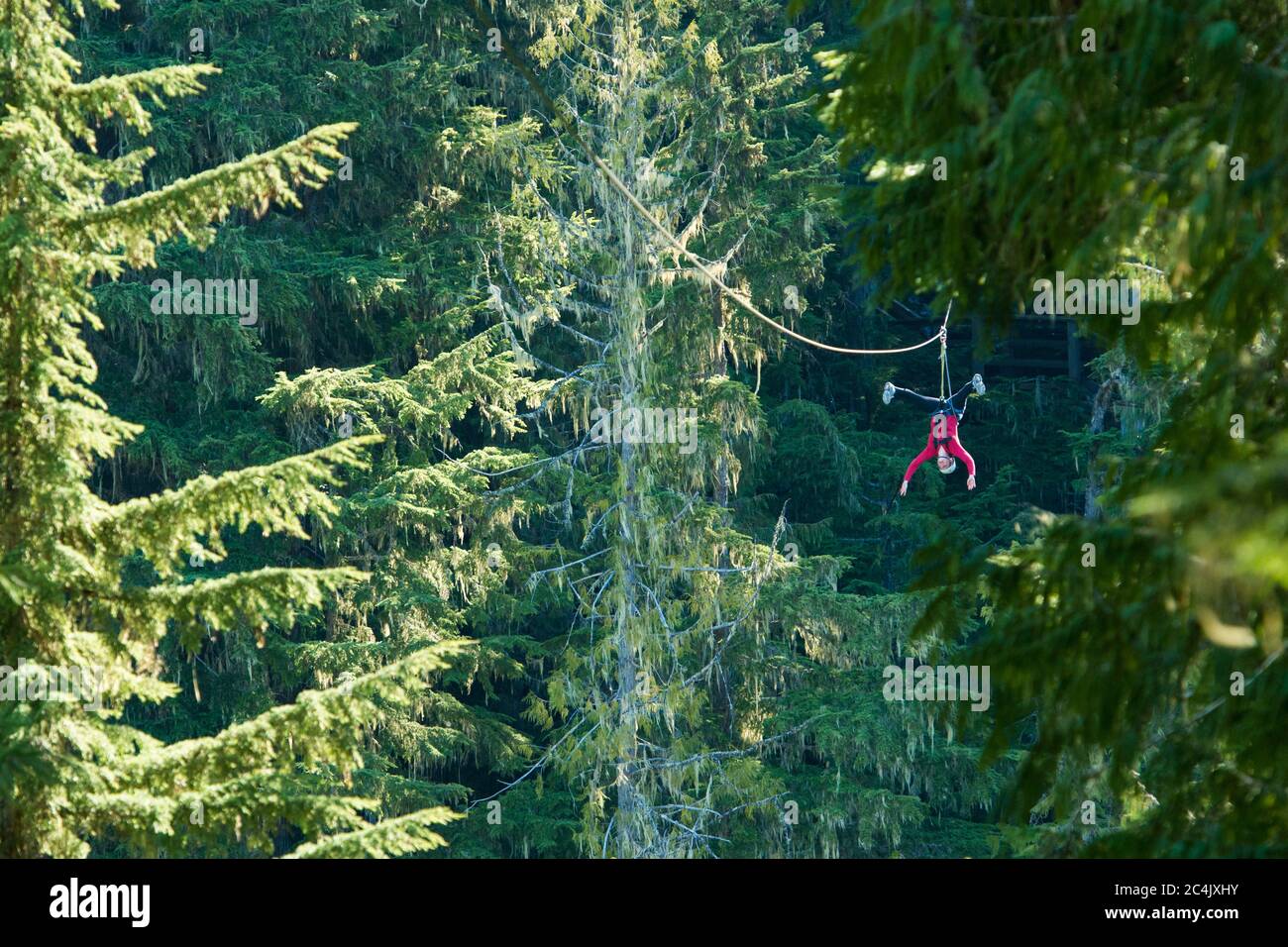 Whistler canada summer zipline hi-res stock photography and images - Alamy