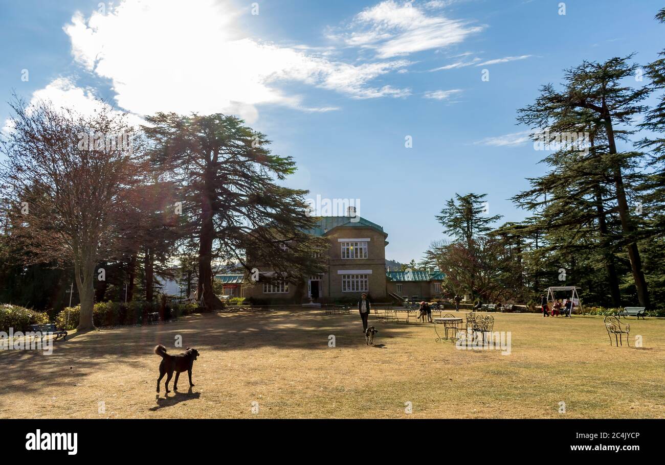 Chail Palace/The Palace Hotel Chail, Himachal Pradesh, India; 30 Dec ...