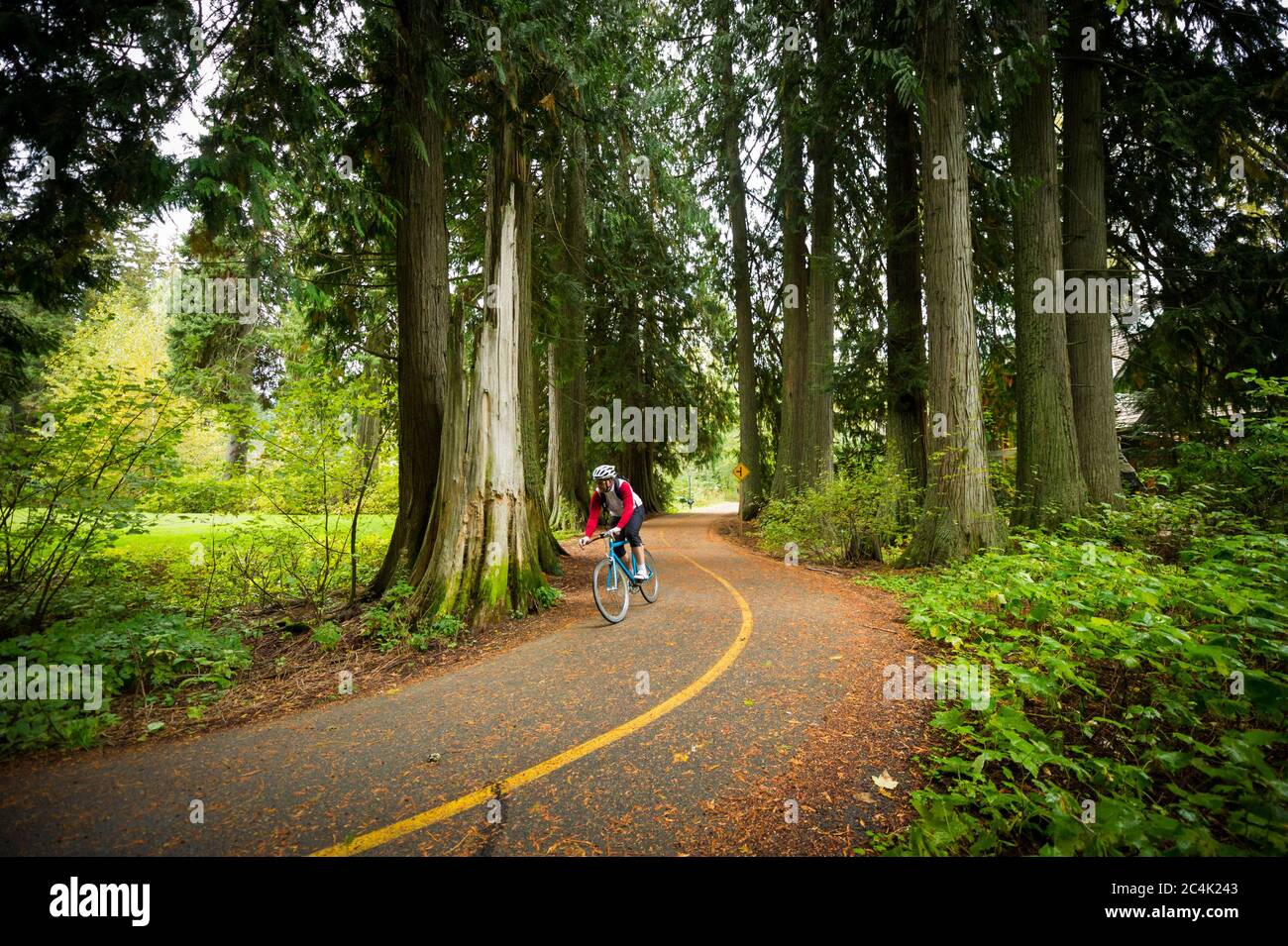 Whistler, BC, Canada: Cycling the valley trail in the fall – Stock ...