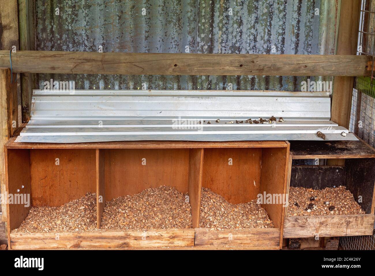 Timber nesting boxes for chicken in a chook pen Stock Photo - Alamy