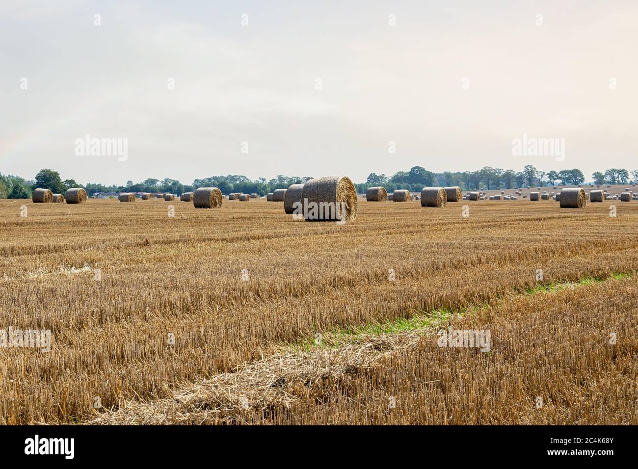 Ley farming hi-res stock photography and images - Alamy