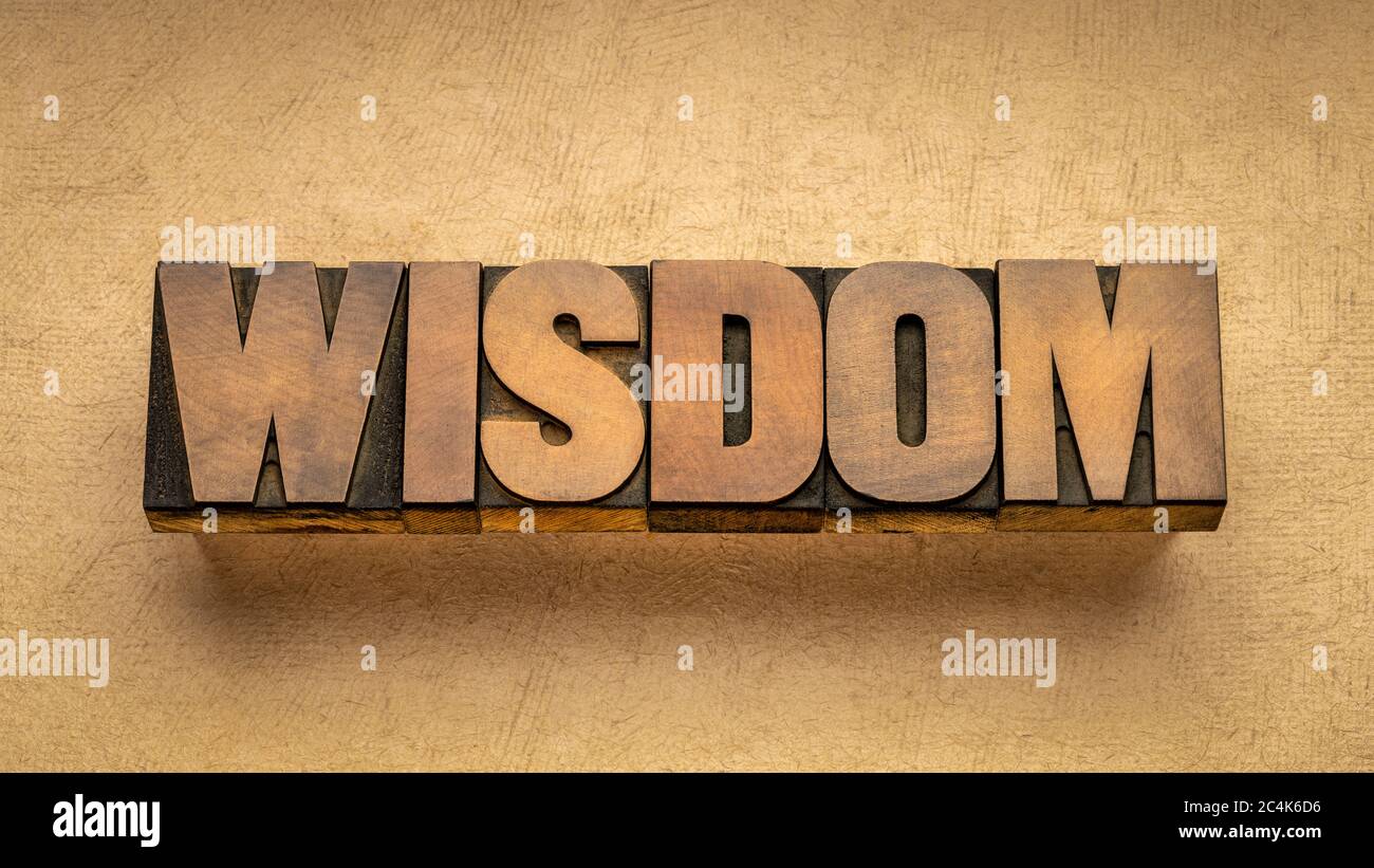 wisdom - word abstract in vintage letterpress wood type against ...