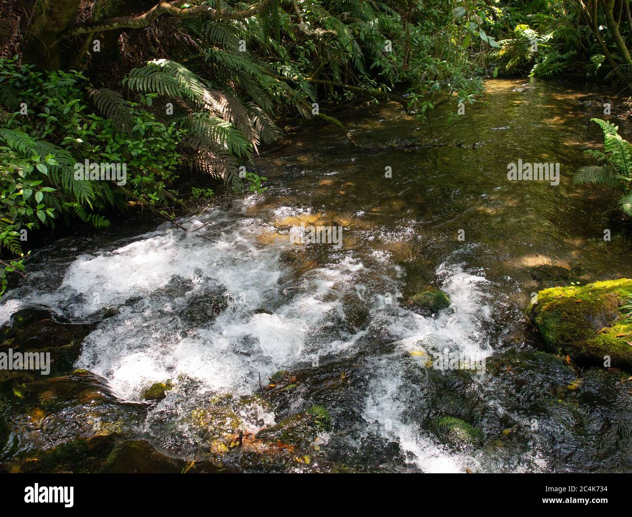 Stream stream water hi-res stock photography and images - Alamy