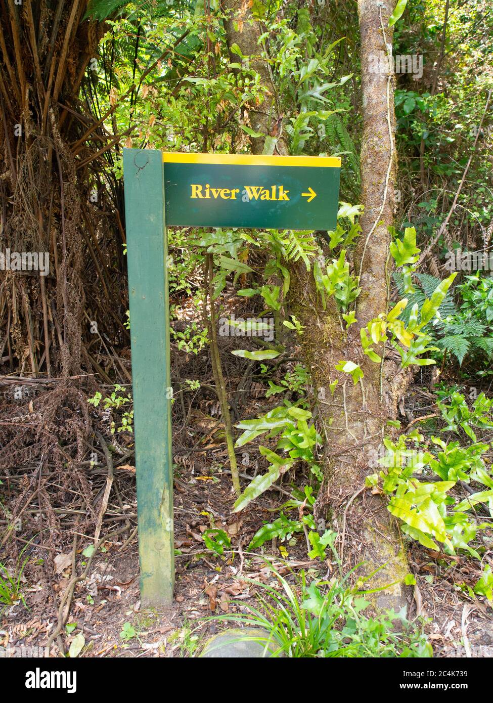 Green walk sign hi-res stock photography and images - Alamy