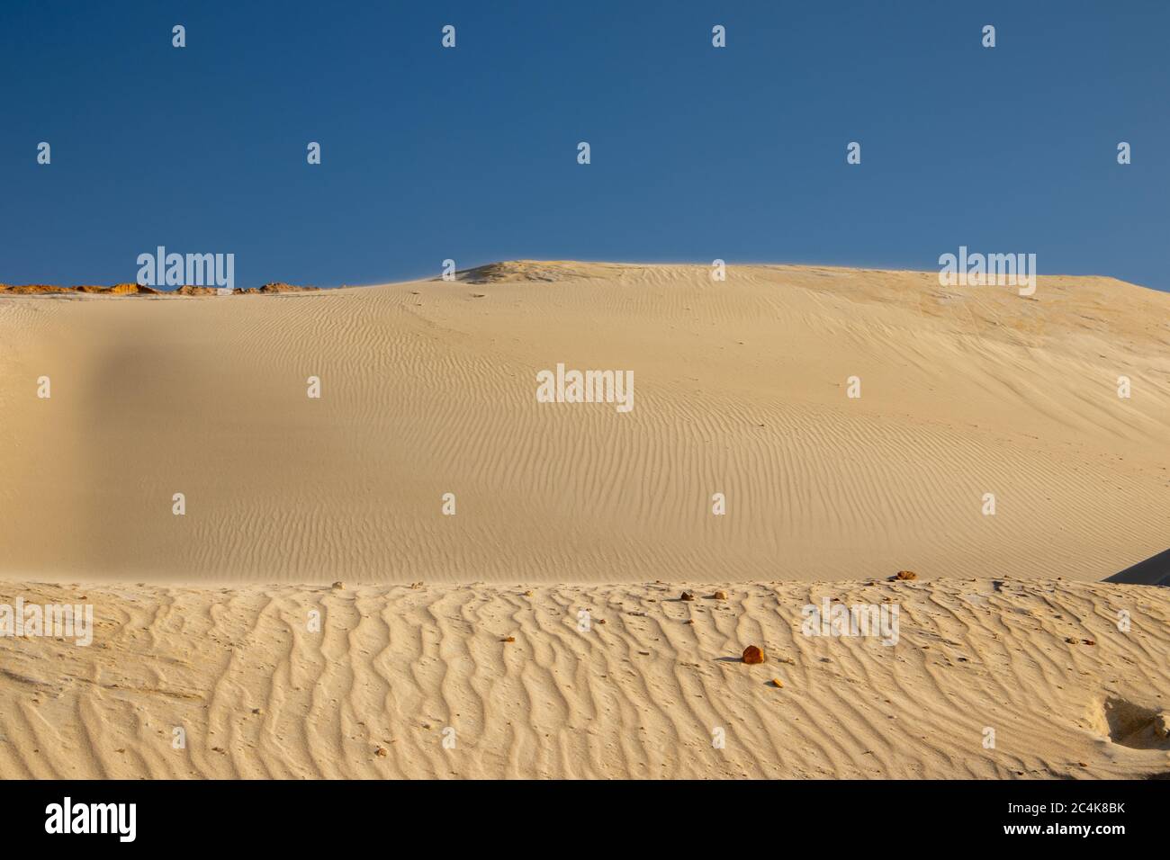 Sand waves in the desert. Bushes in the sand. Ukrainian nature Stock ...