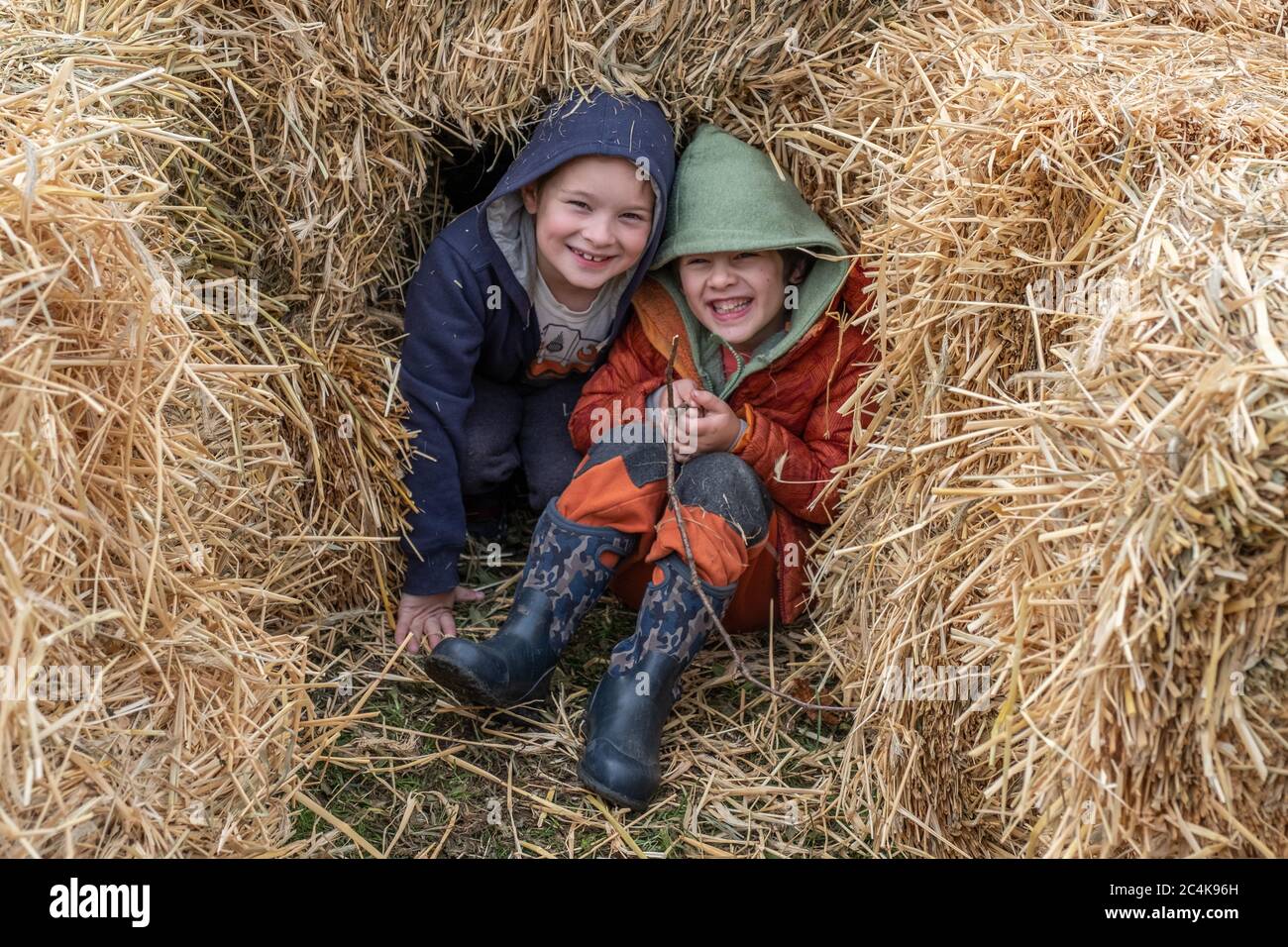 two kids playing in a haystack Stock Photo - Alamy