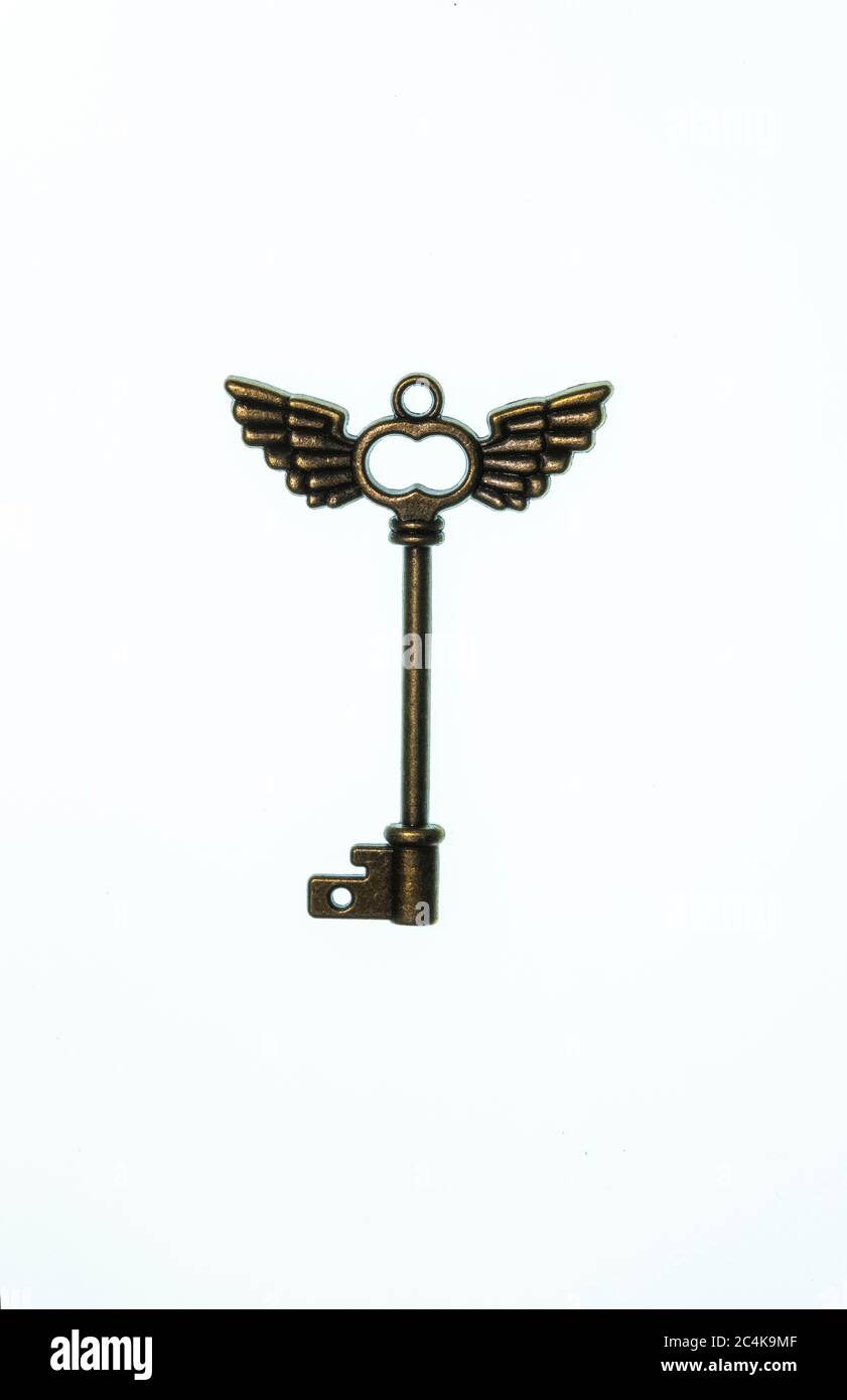 Key wings hi-res stock photography and images - Alamy