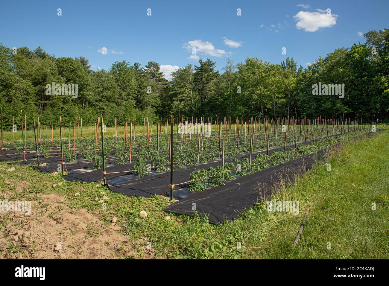 Commercial farm hi-res stock photography and images - Alamy
