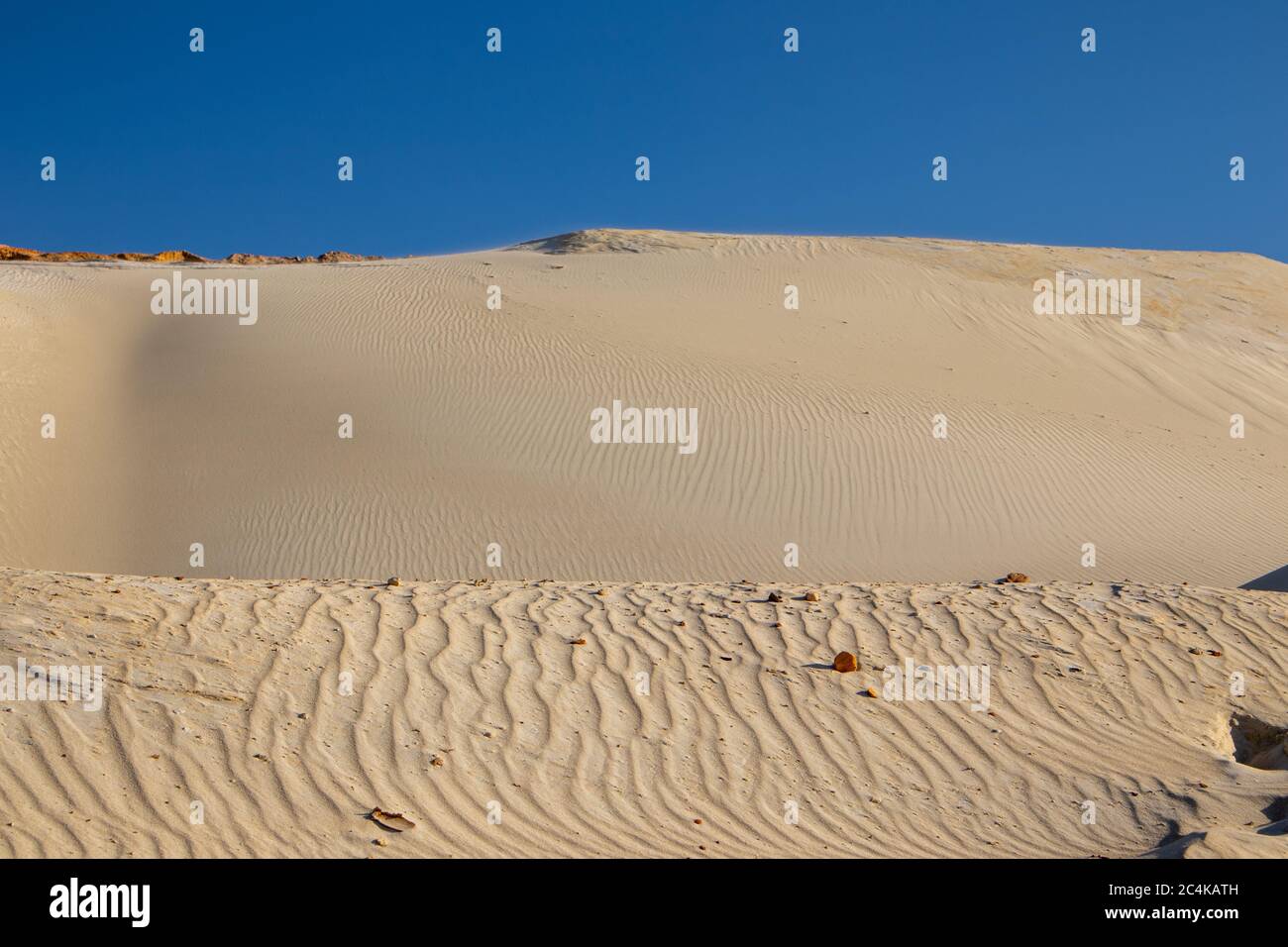 Sand waves in the desert. Bushes in the sand. Ukrainian nature Stock ...