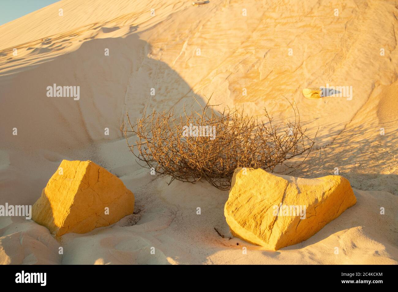 Stones in the desert on the sand. Desert landscape Stock Photo - Alamy