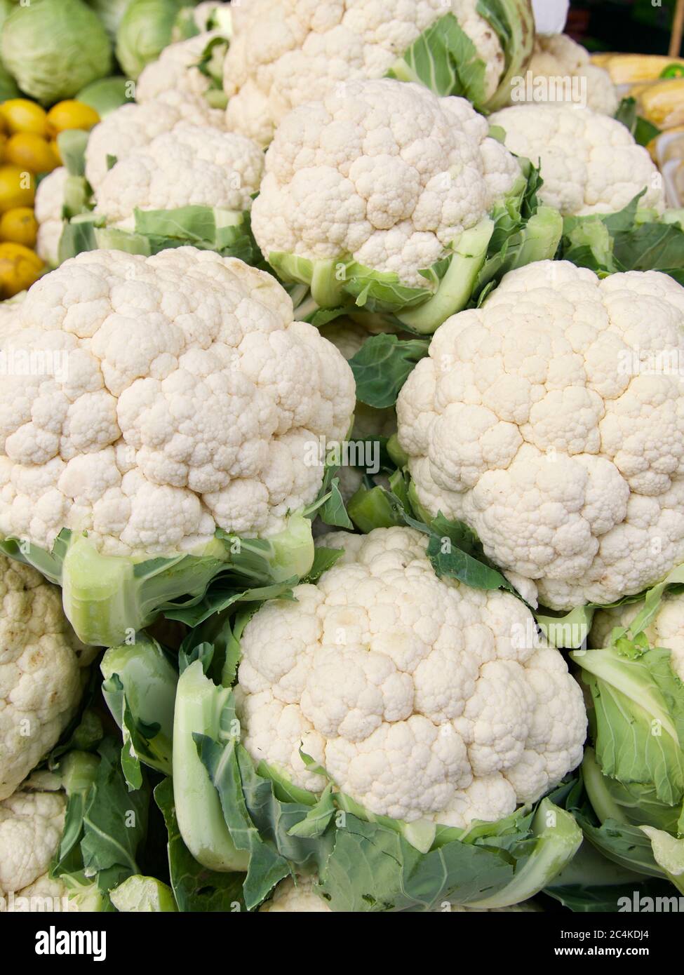 Cauliflower Varieties High Resolution Stock Photography and Images - Alamy