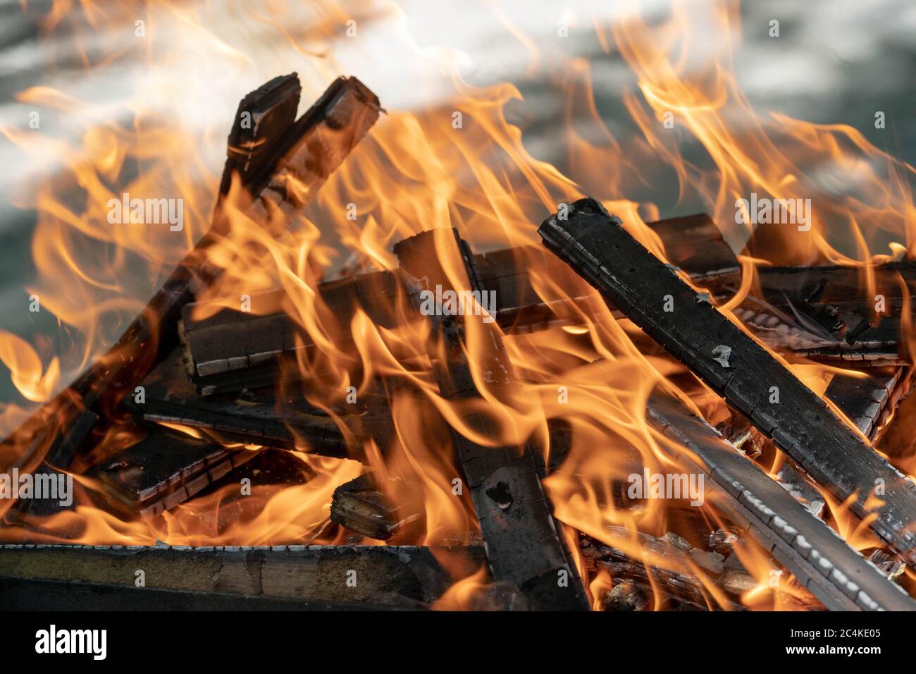 fire made of beech wood Stock Photo - Alamy