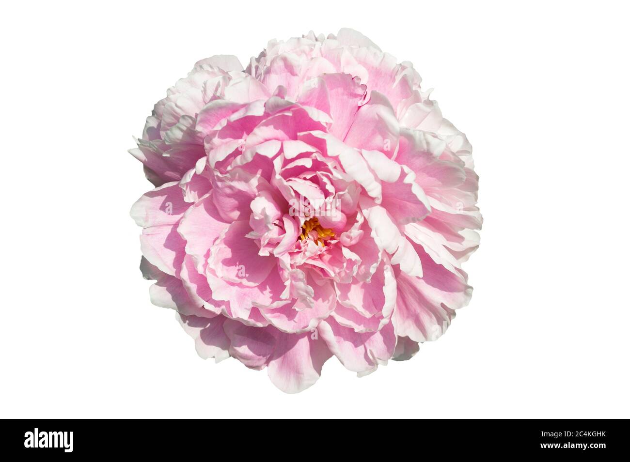 Spring springtime in chinese Cut Out Stock Images & Pictures - Alamy