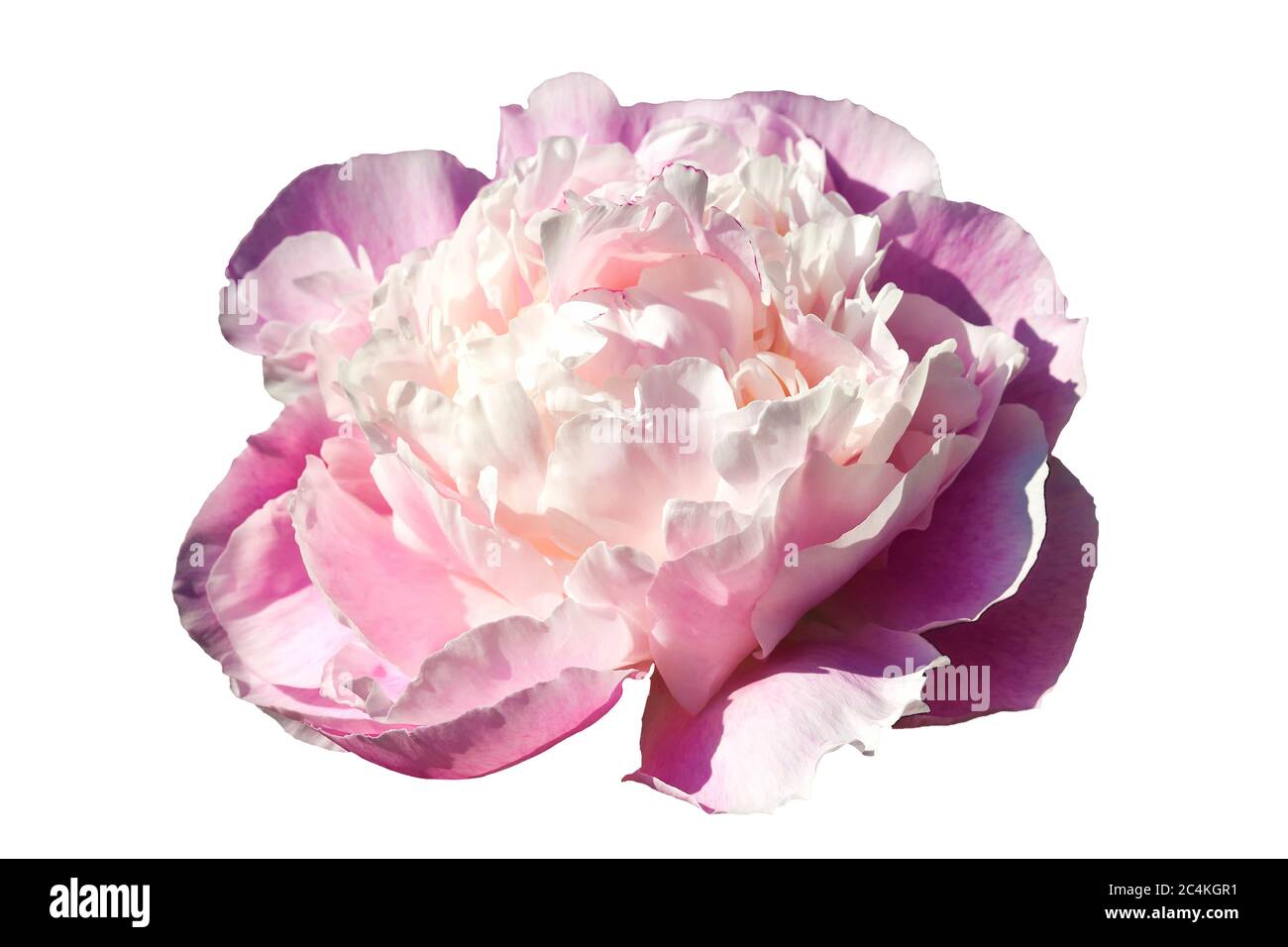 Spring springtime in chinese Cut Out Stock Images & Pictures - Alamy