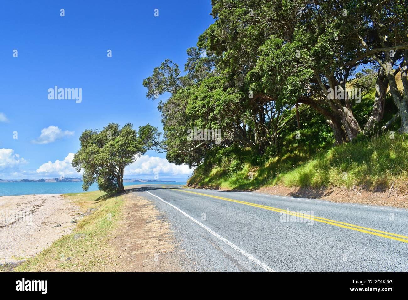 Landscape shot of the road surrounded by tropical trees leading to the ...