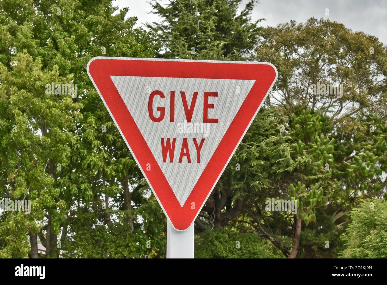 Vertical shot of a road sign that says "give way" on an iron pole under ...