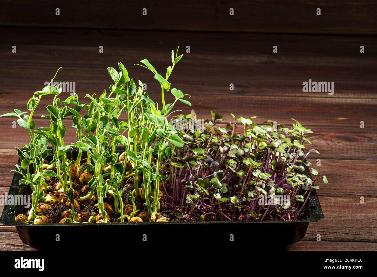 Mixed Microgreens in box on wooden table background Stock Photo - Alamy
