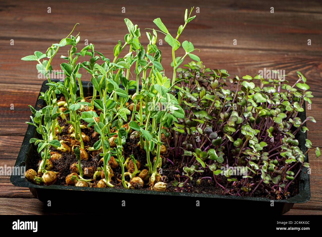 Mixed Microgreens in box on wooden table background Stock Photo - Alamy