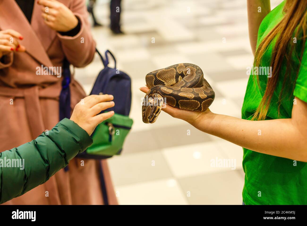 Child snake pet hi-res stock photography and images - Alamy
