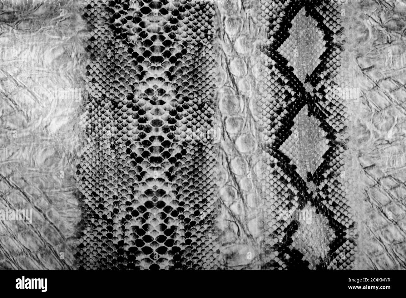 Rattlesnake skin Black and White Stock Photos & Images - Alamy