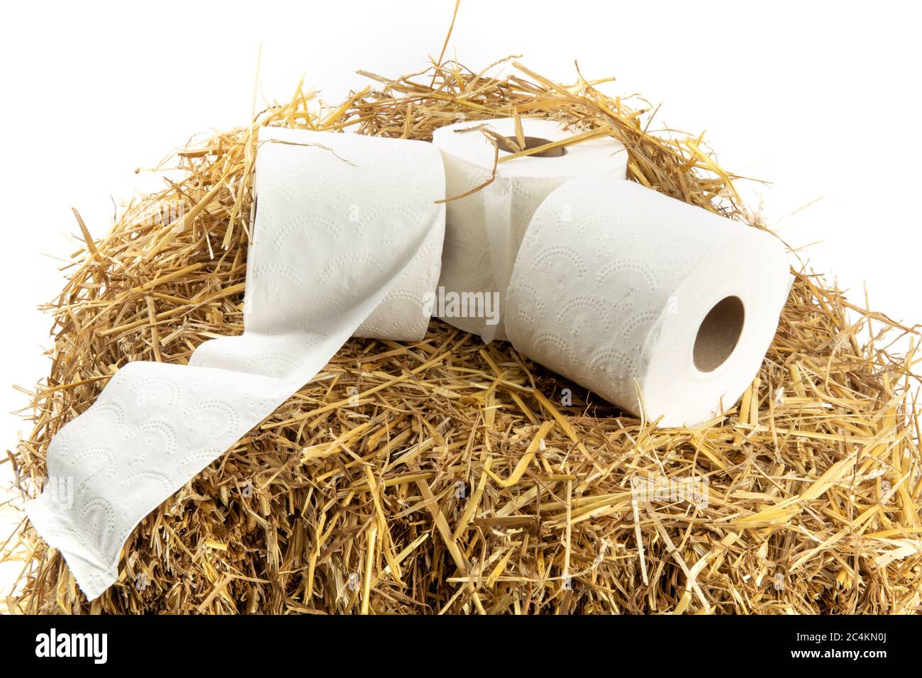 farm comfort, rolls of toilet paper on a hay bale isolated on white ...