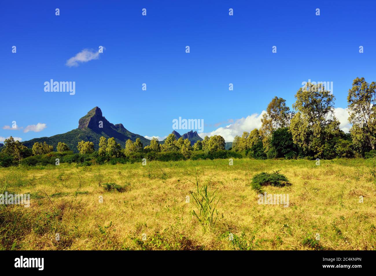 Typical Mauritius landscape, spread fields and high cliff against blue ...