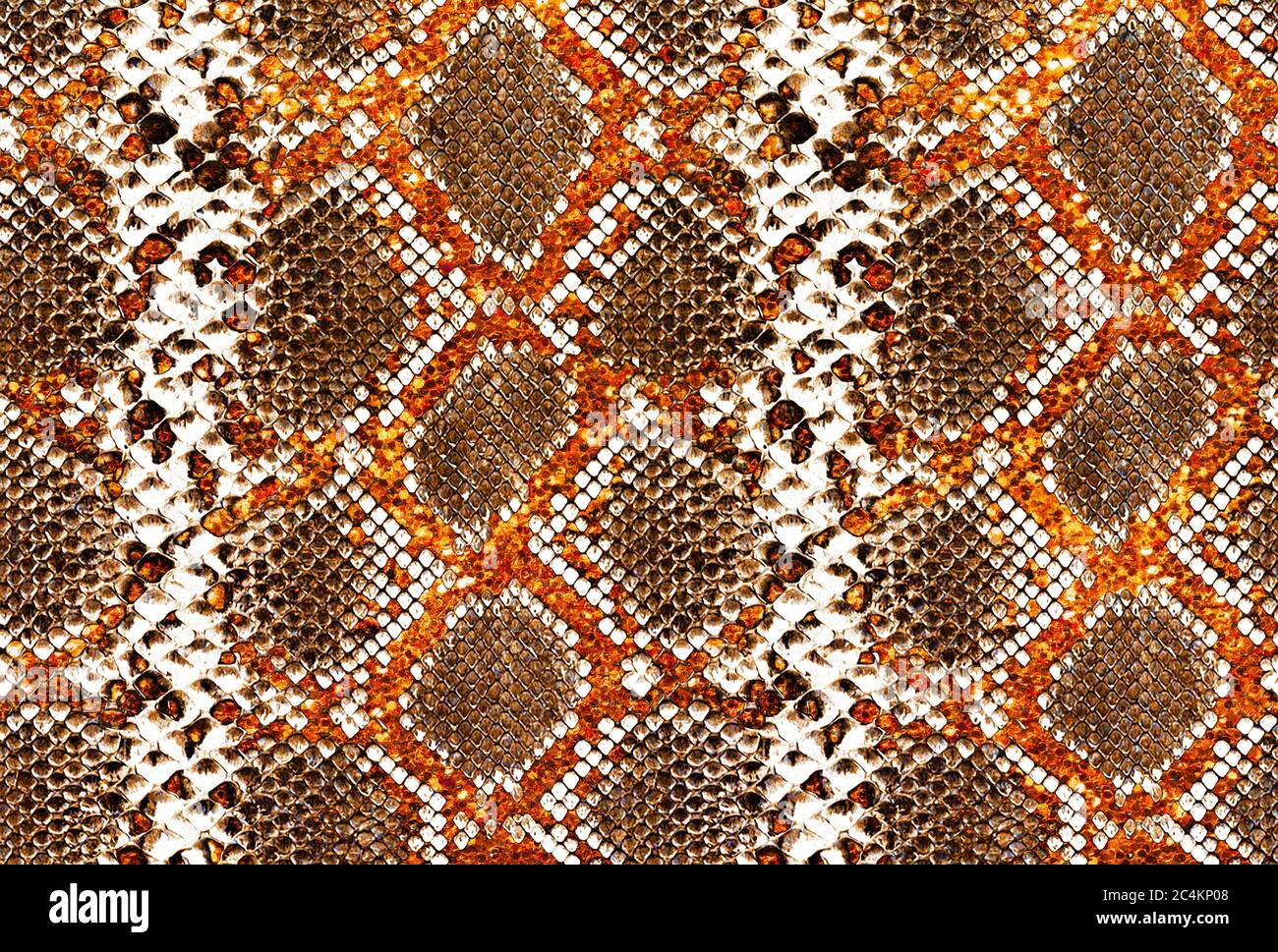 Snake skin patterns High Resolution Stock Photography and Images - Alamy