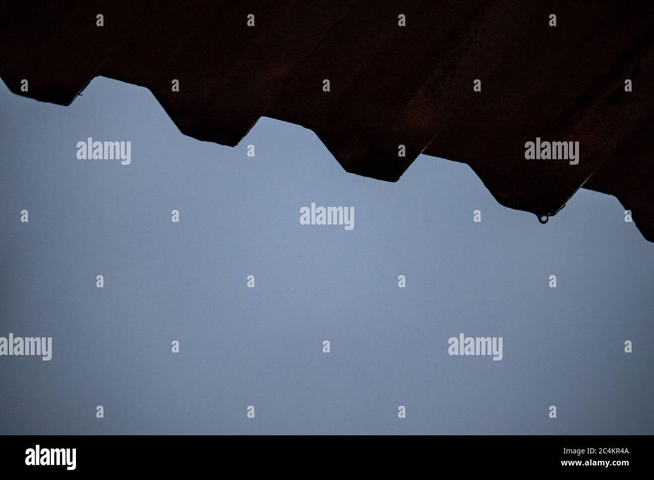 Low angle shot of raindrops falling from a roof in the early morning ...