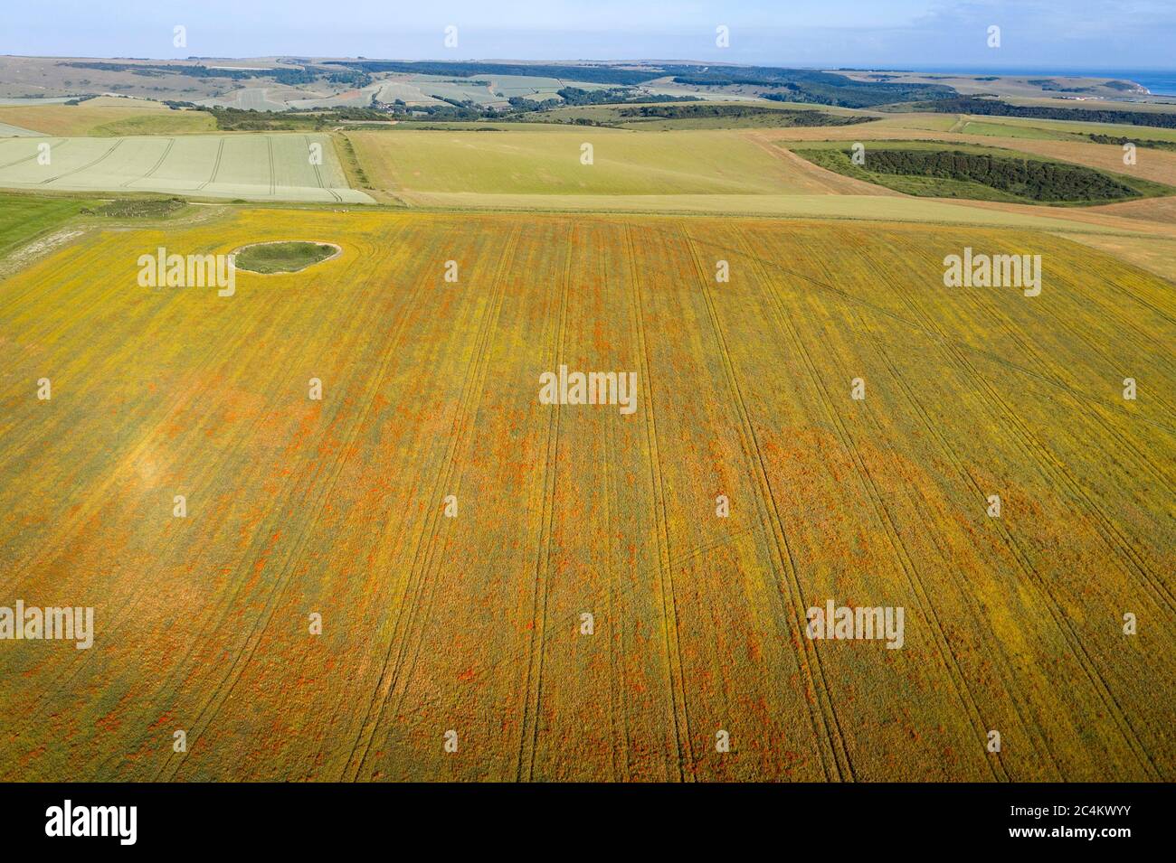 Beautiful high flying drone landscape image of poppy field in English ...