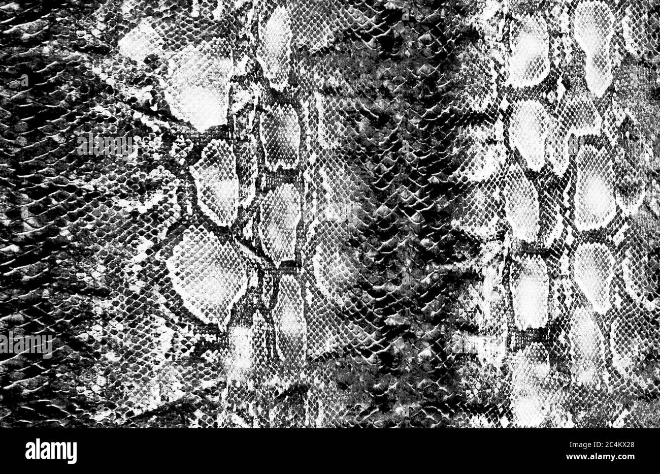 Animal skin texture design Black and White Stock Photos & Images - Alamy