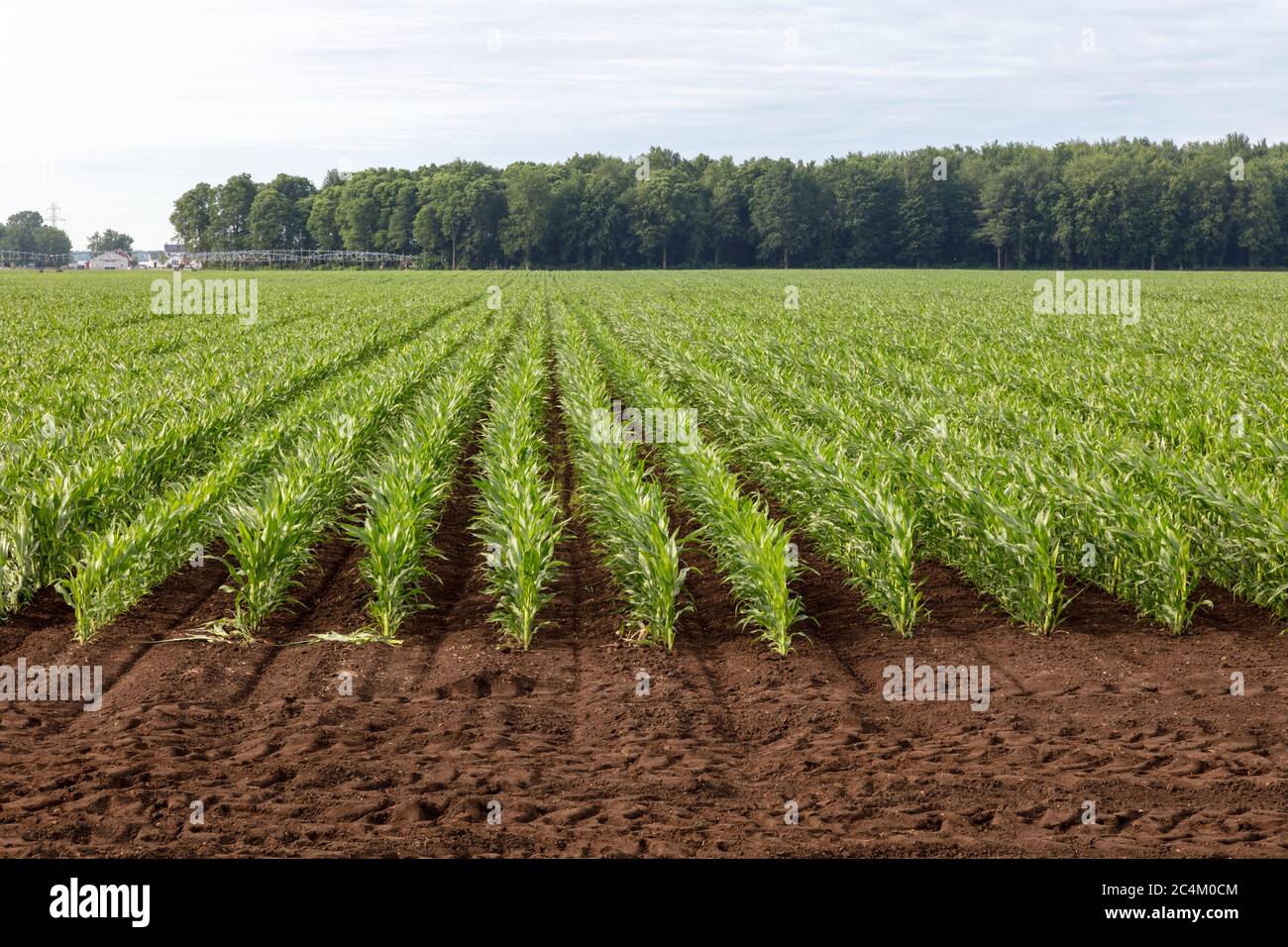 Northern indiana hi-res stock photography and images - Alamy