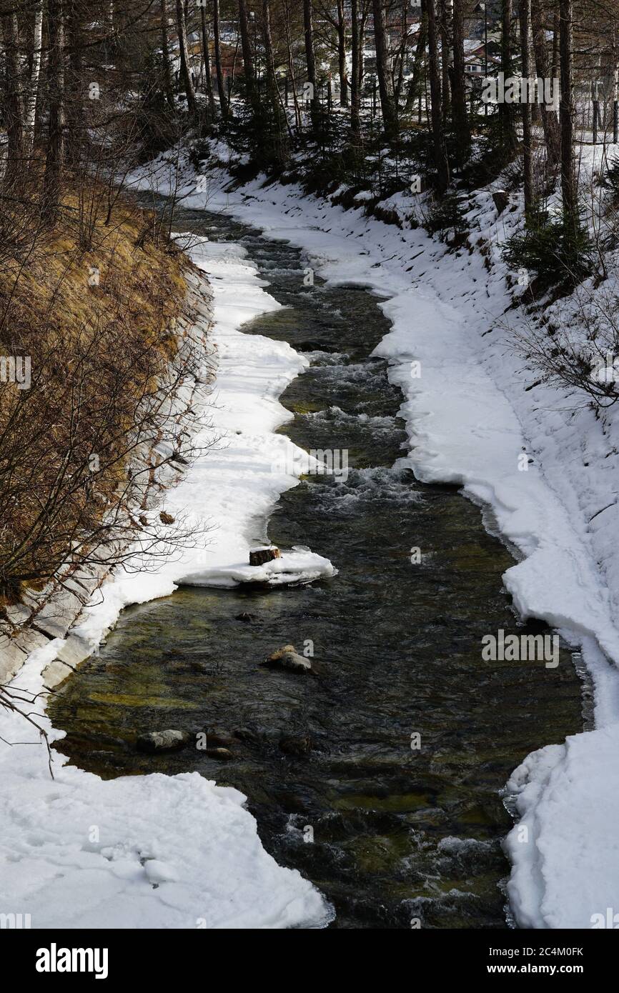creek and trees Stock Photo - Alamy