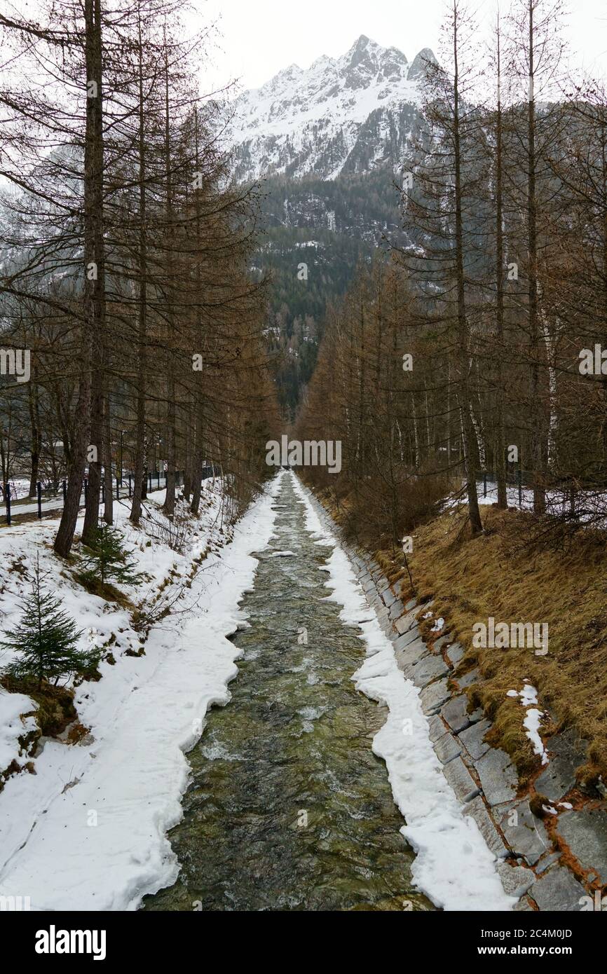 creek and trees Stock Photo - Alamy
