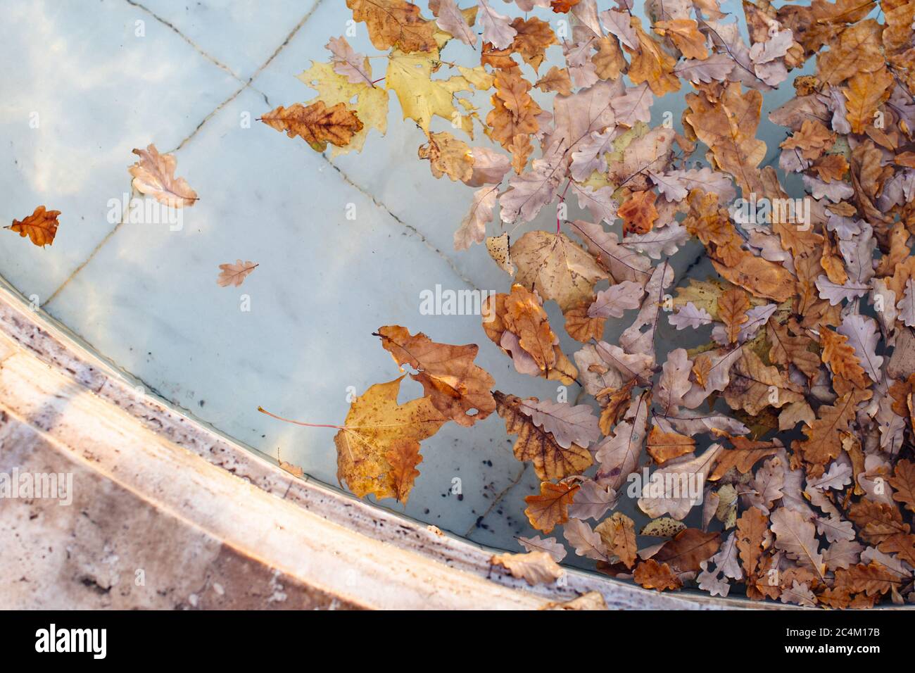 Fallen different colourful leaves floating in swimming pool water ...