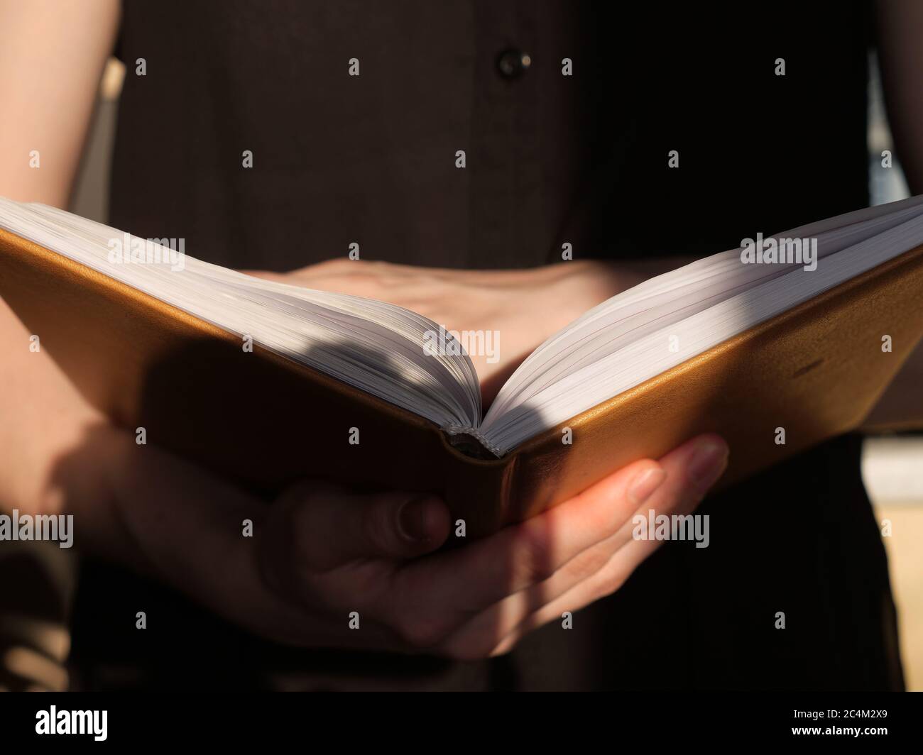 Book in hands close up in daylight. The person is reading an ...