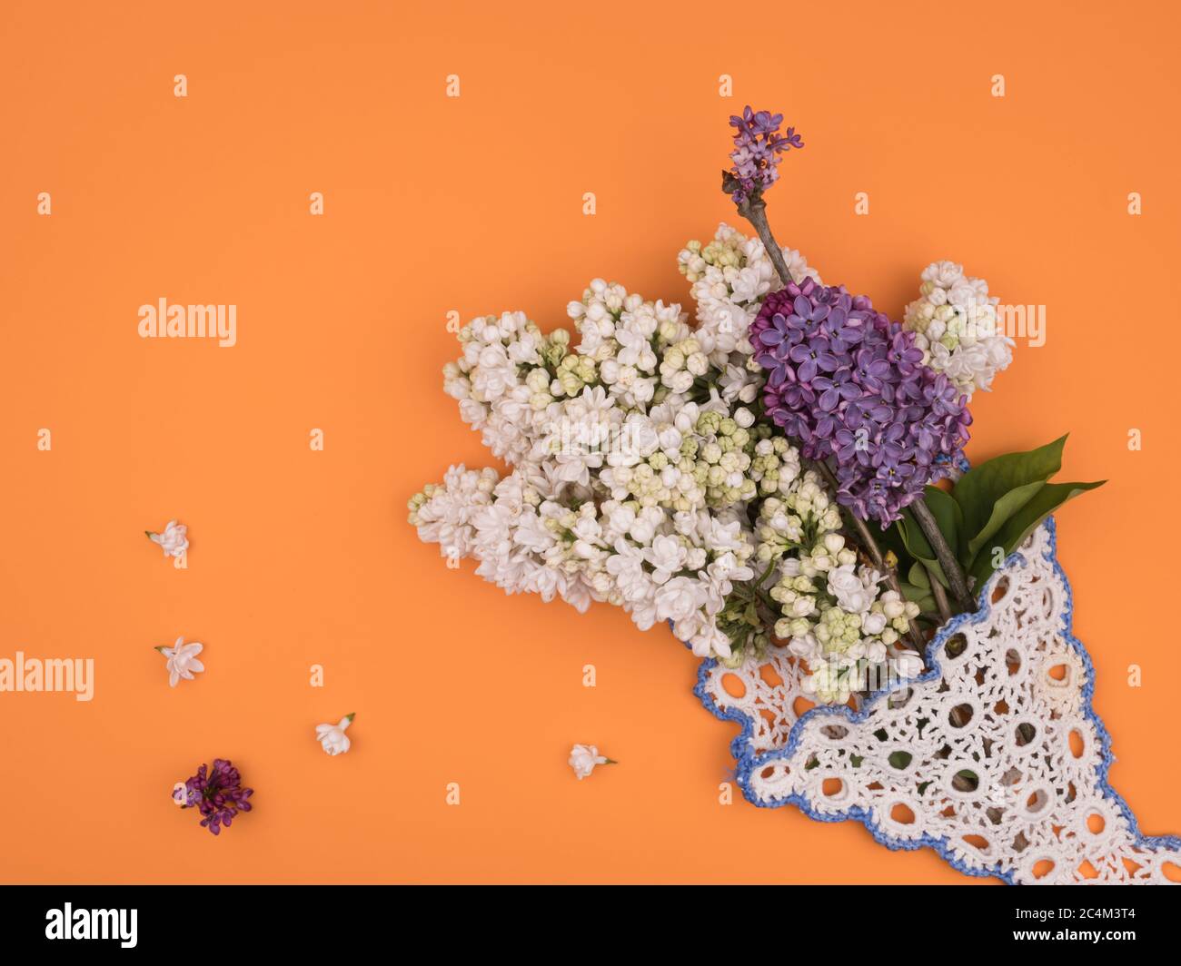 Bouquet of spring flowers on an orange background. White and purple ...