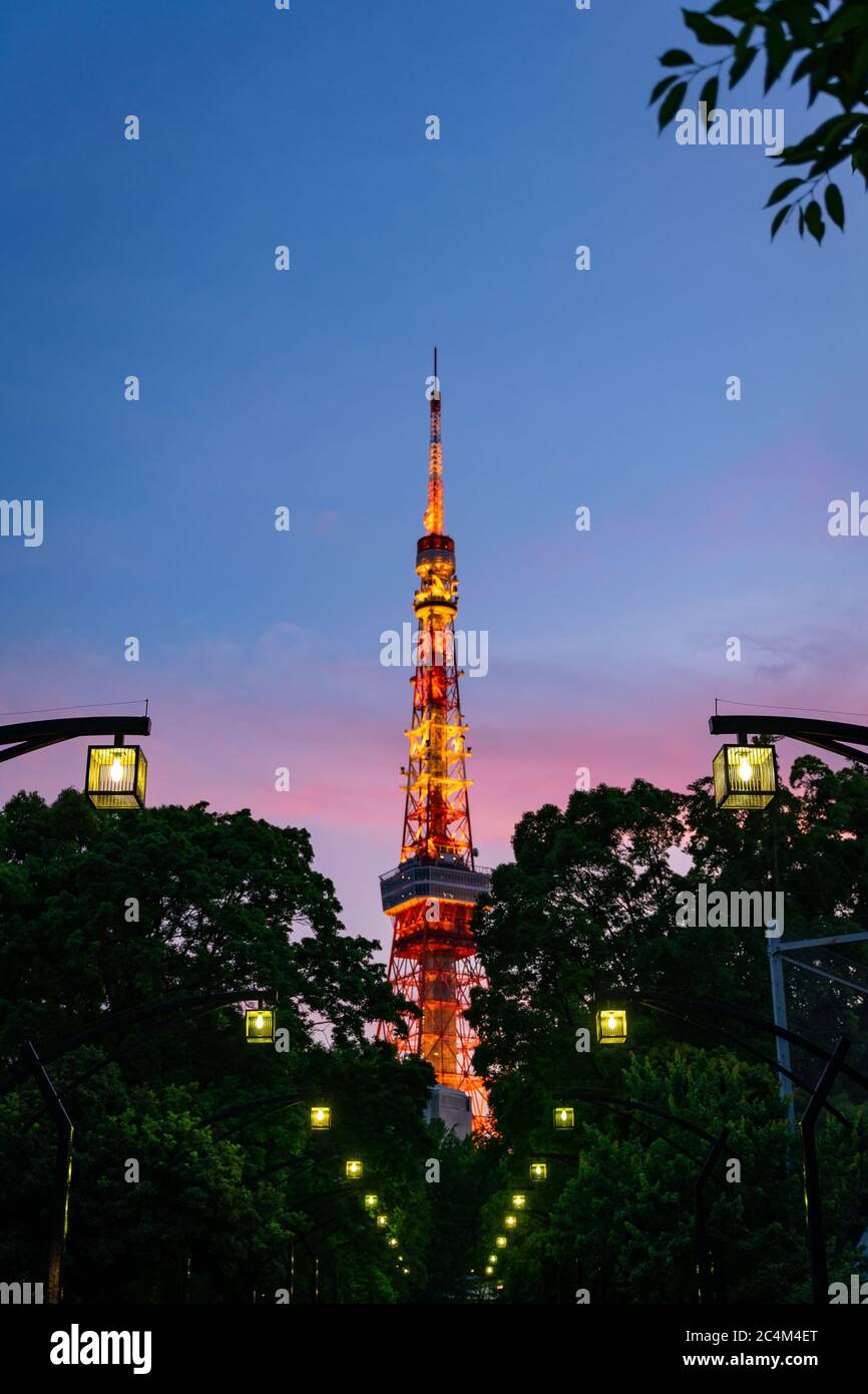 Amazing view of the Tokyo tower at colorful scenic sunset Stock Photo ...