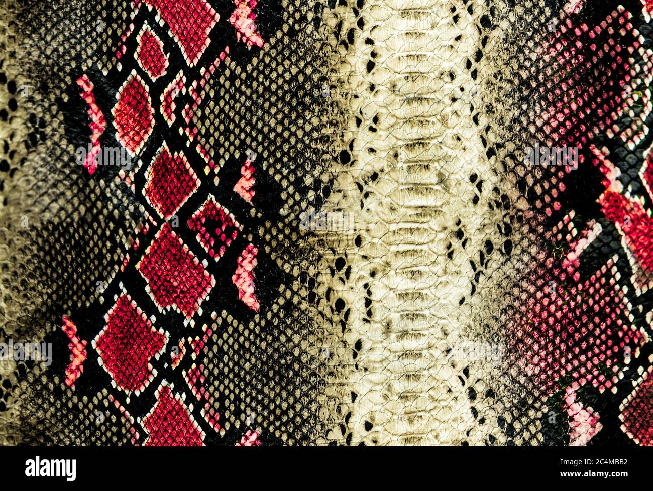Snakeskin Patterns High Resolution Stock Photography and Images - Alamy