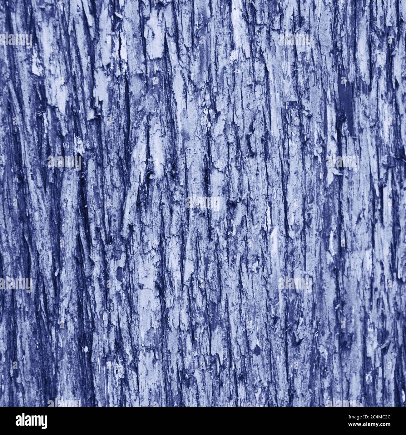 Closeup of old weather beaten tree bark texture background pattern ...