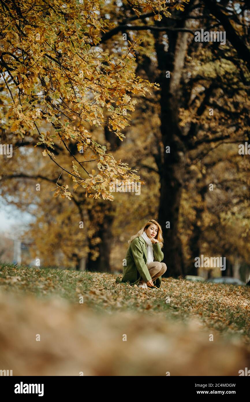 Beautiful Autumn Asian woman with Autumn Leaves on Fall Nature ...