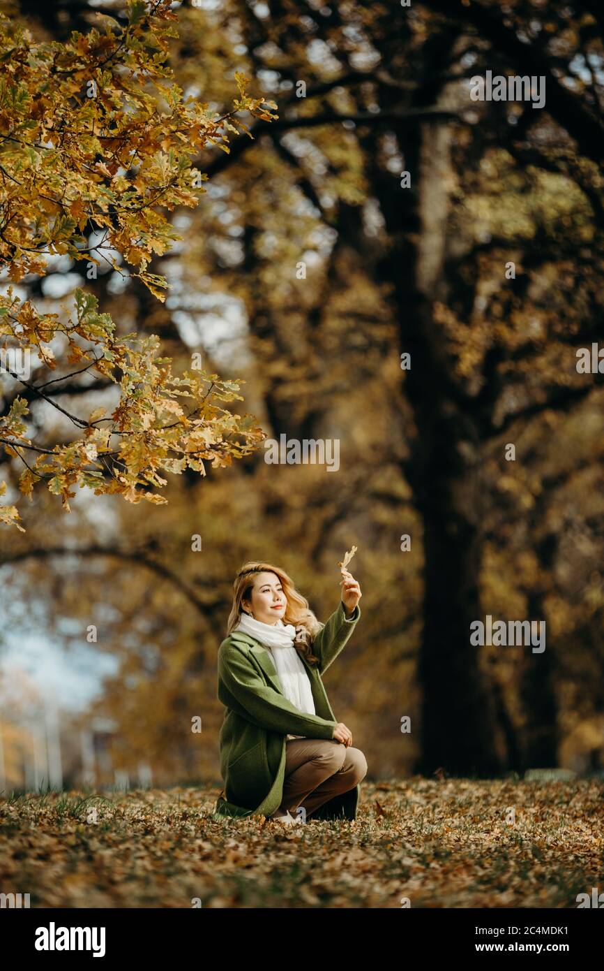 Beautiful Autumn Asian woman with Autumn Leaves on Fall Nature ...