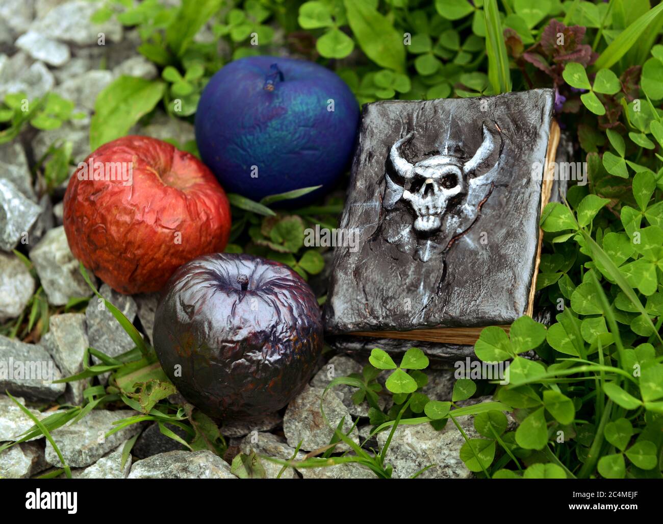 Colorful magical apples and hand crafted witch book of spells in the ...