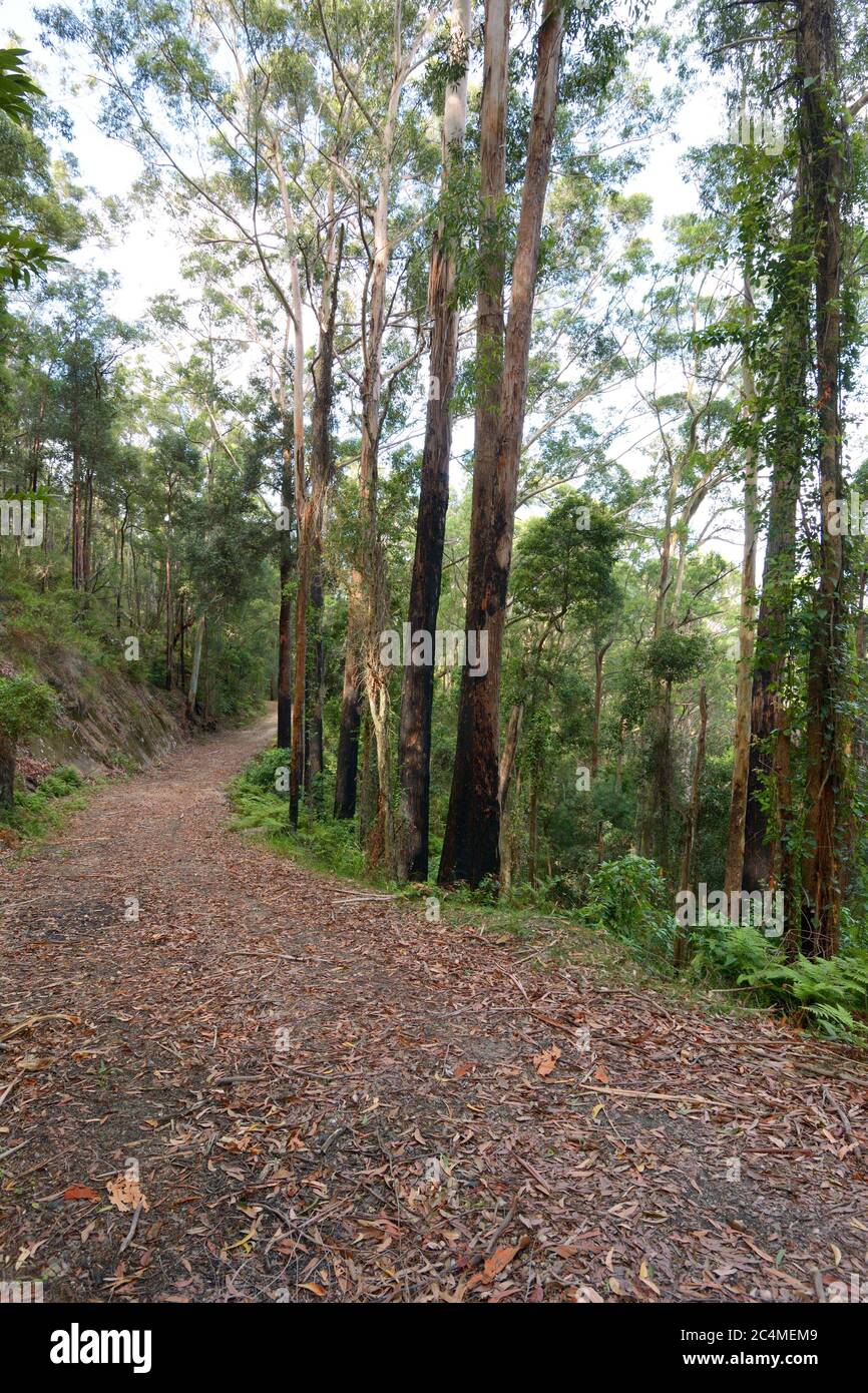Katandra reserve hi-res stock photography and images - Alamy