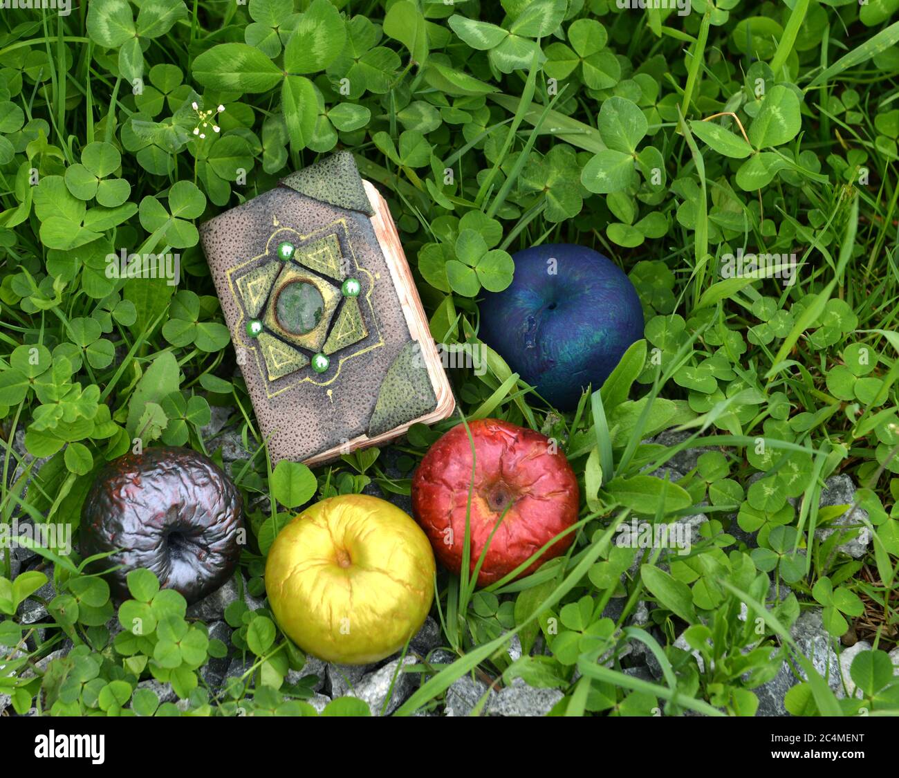 Hand crafted witch book with apples in the garden. Esoteric, gothic and ...